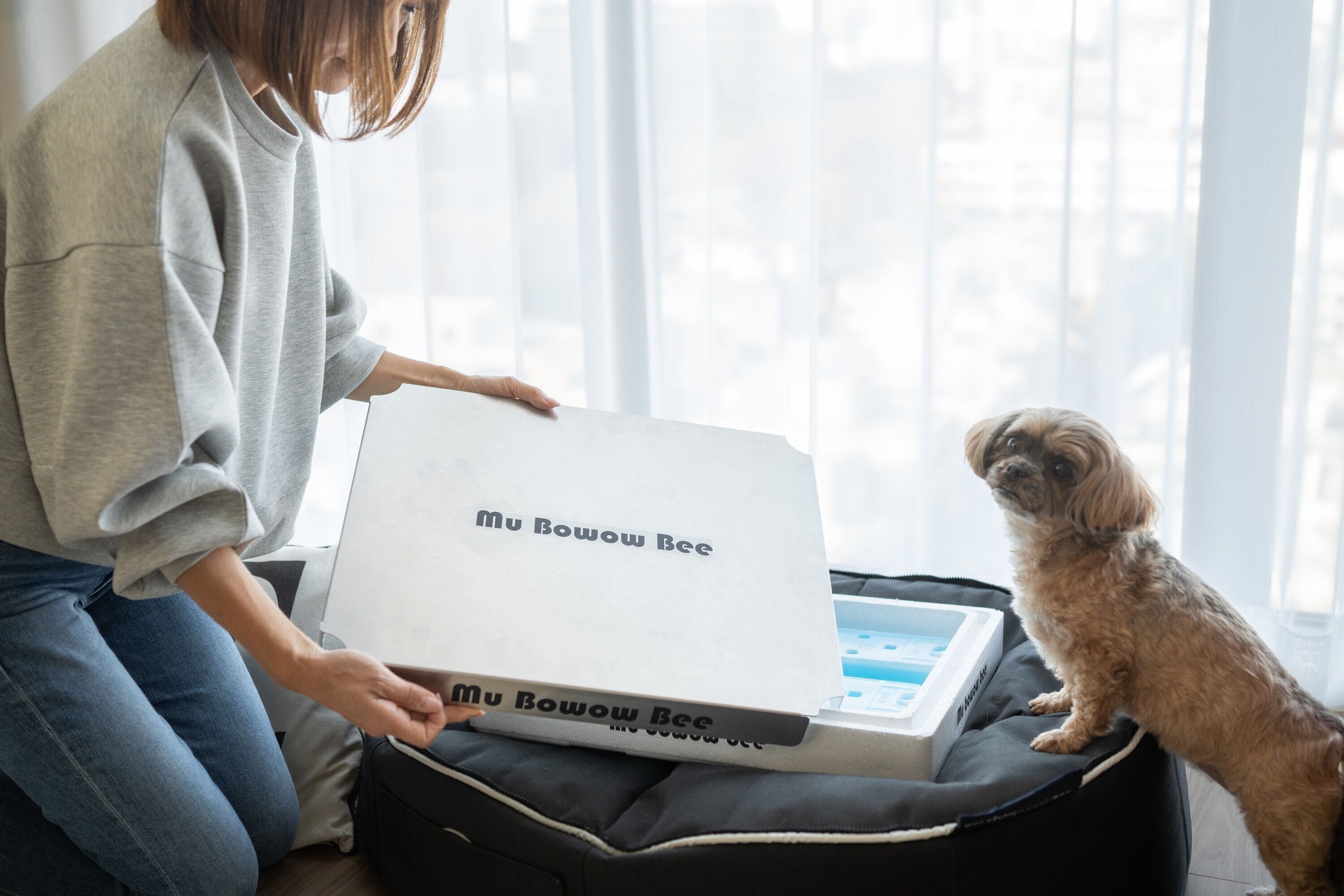 ＜PR＞暑い日のお出かけでも、うちのコがごきげんなのは、環境にやさしいアイテムのおかげ！｜いぬのきもちWEB MAGAZINE