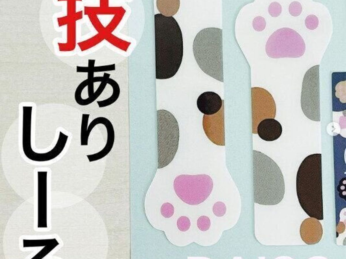 リピ買い必至!【ダイソー】「繰り返し使える」「いつも持っていたい」超激推し3選 サンキュ!