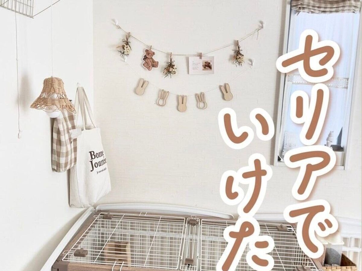 買ってよかった!【セリア】「時短を叶える」「簡単に取りつけられる」便利なおうちアイテム3選 サンキュ!