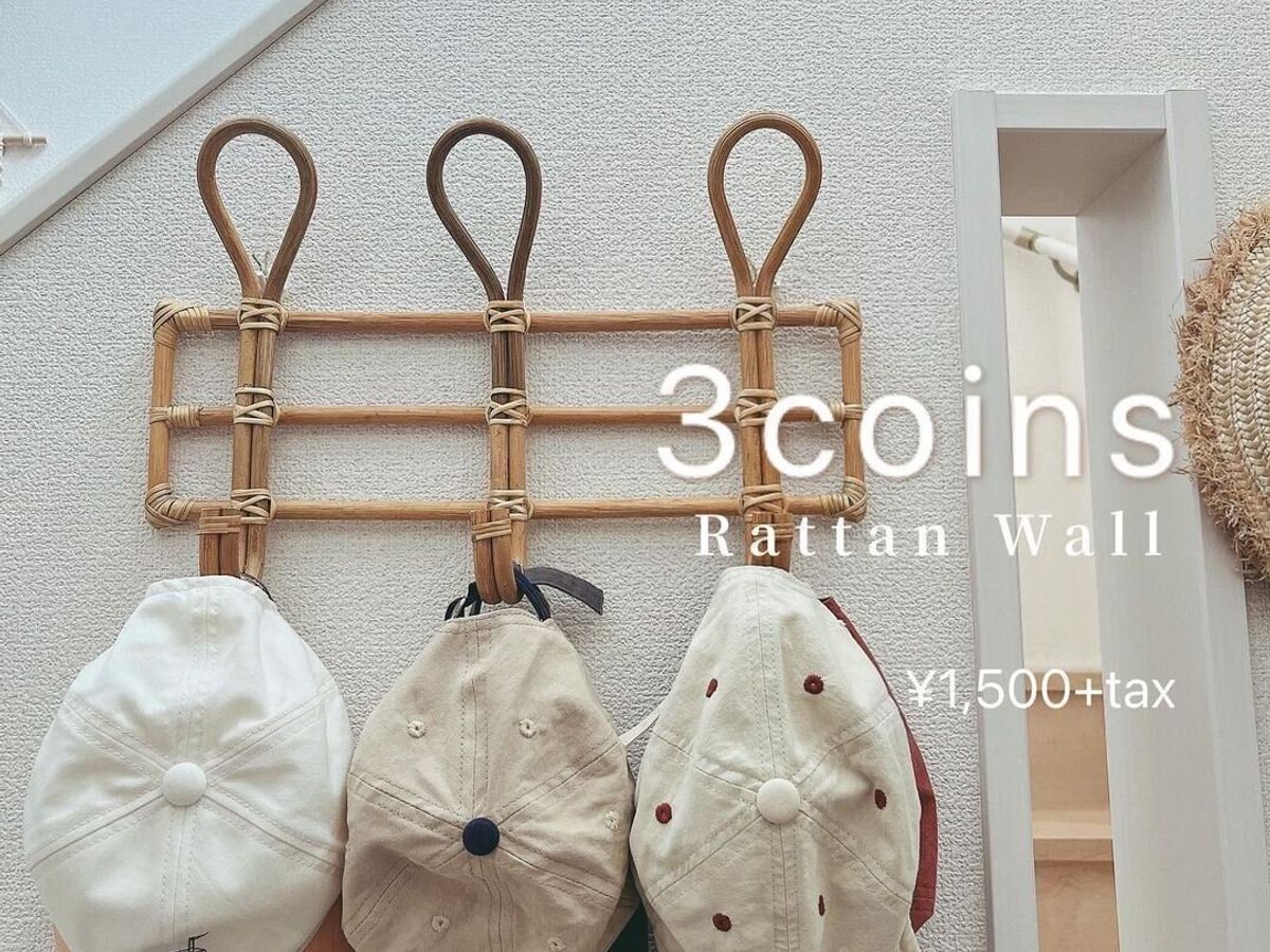 爆売れしすぎ!【3coins】「かわいすぎる」「けっこう使える」激推し4選 サンキュ!